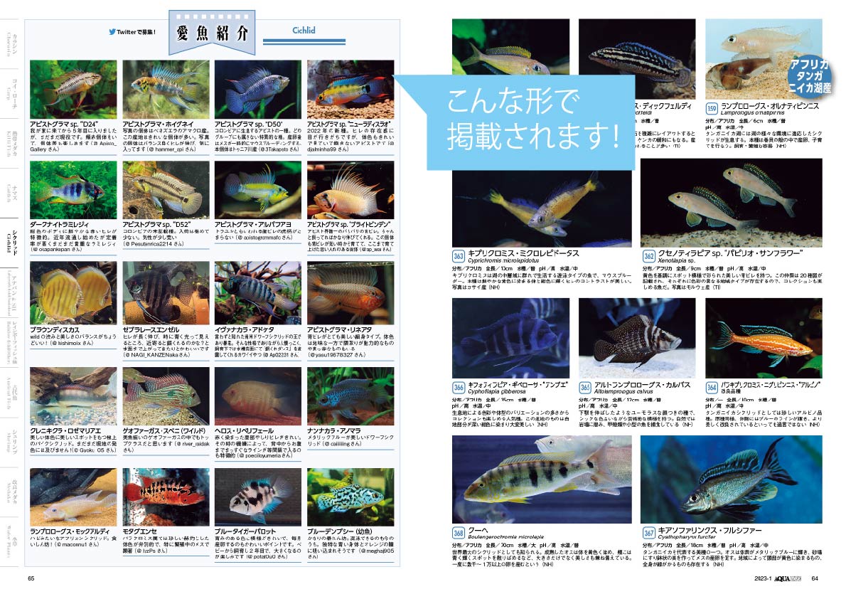 アクアリウム超図鑑2024 投稿の詳細です！ ｜ アクアライフブログ
